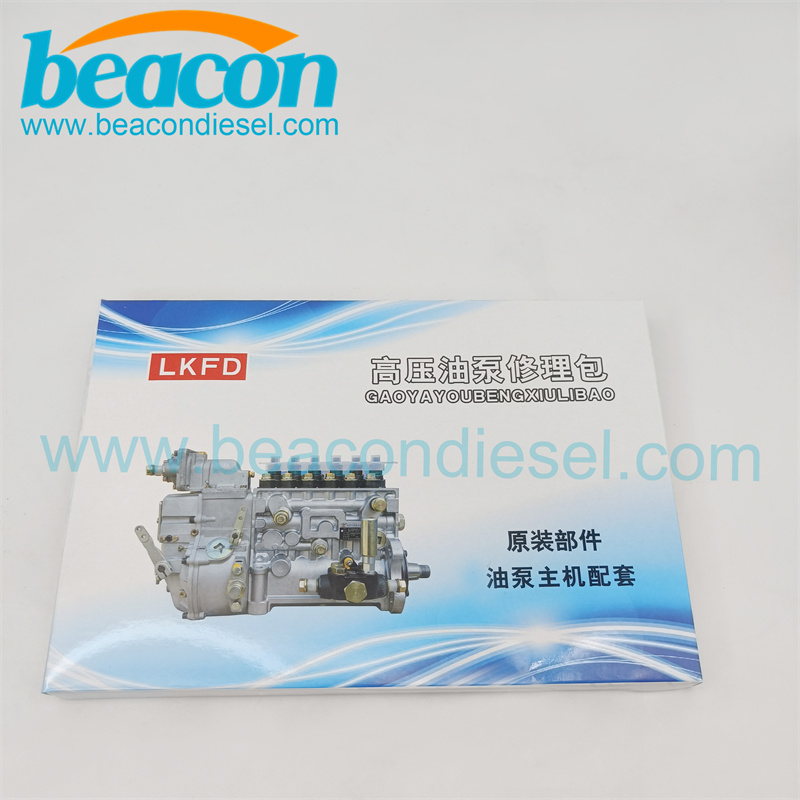 original Longbeng pump repair kit |P7100